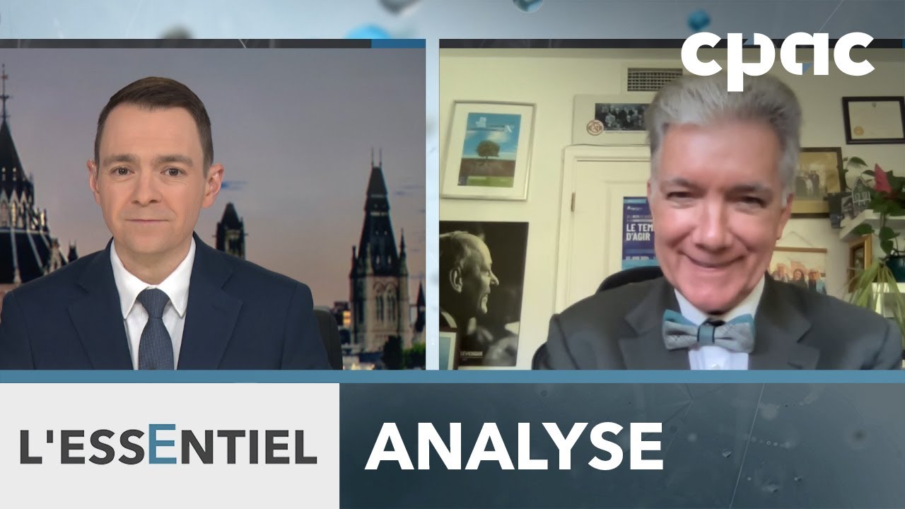 La Caq Depose Son Projet De Constitution Quebecoise