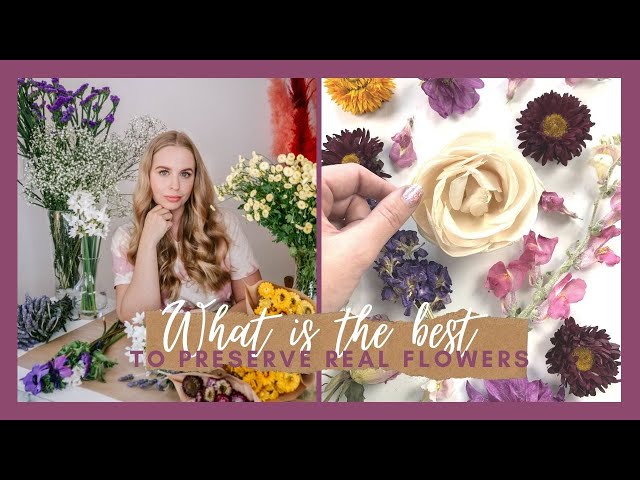 How To Preserve Fresh Flowers Permanently With Modge Podge StuffSure