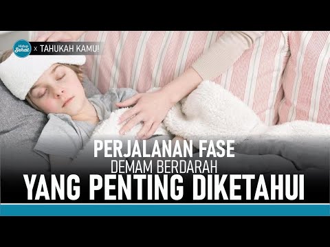 Fase Demam Berdarah yang Wajib Diketahui - tvOne