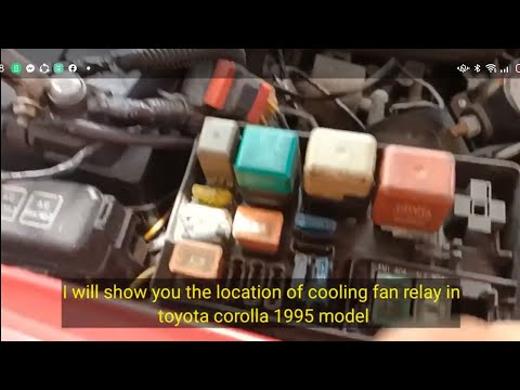 Where is the radiator fan relay located in the Toyota Corolla? (With video)