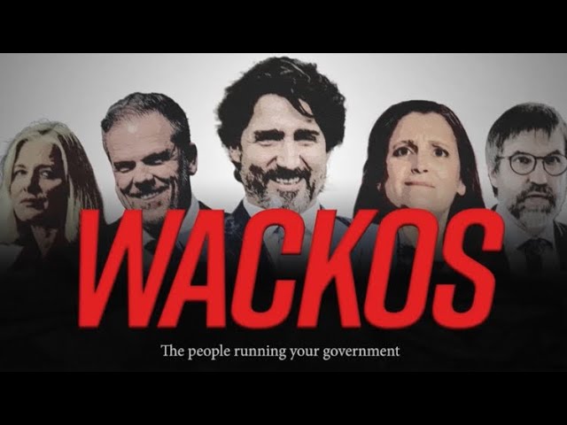 WACKOS the weird wild woke & wonderful world of the people running our country