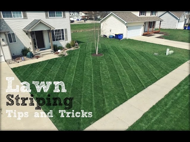 How To Cut Lines In Grass To Get Ideas how-to-cut-lines-in-grass-to-get-ideas