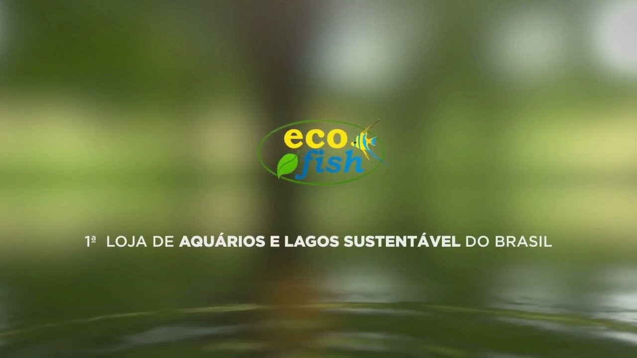 EcoFish – Aquários e Lagos – Do iniciante ao profissional