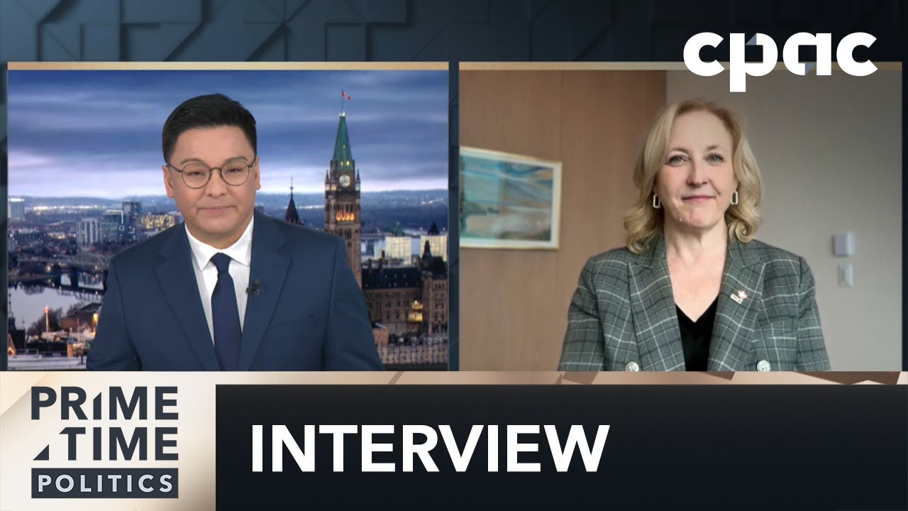 Trade War Lisa Raitt weighs in on Canadas countertariffs against the US ...