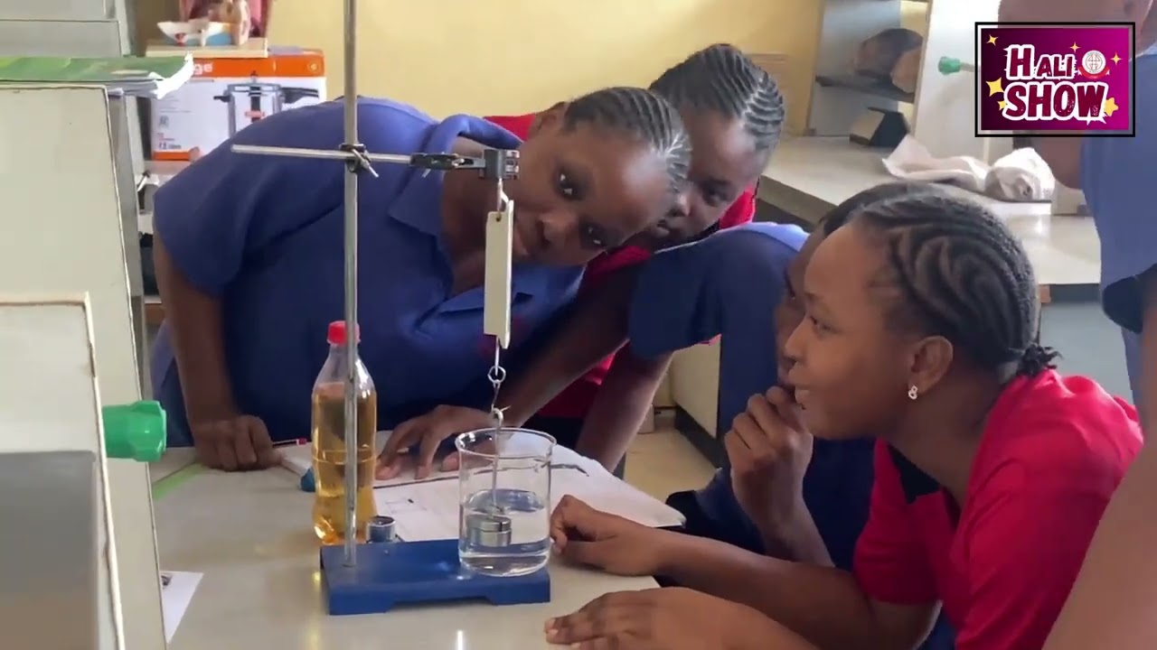 Halifield Schools - Early Years, Elementary & College