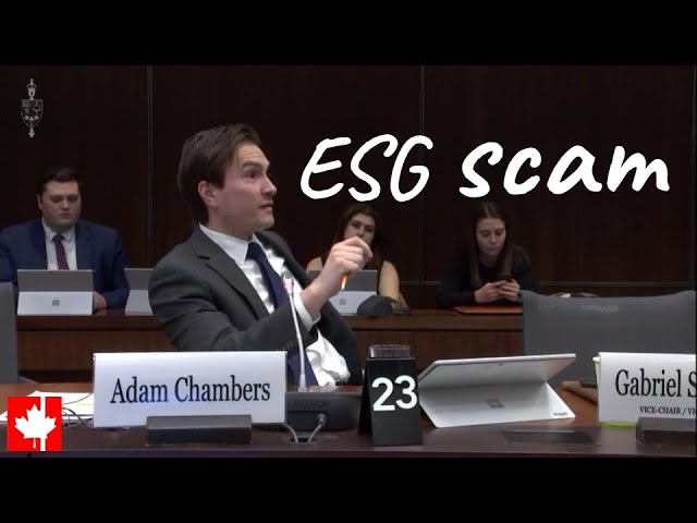 Greenwashing The ESG scam