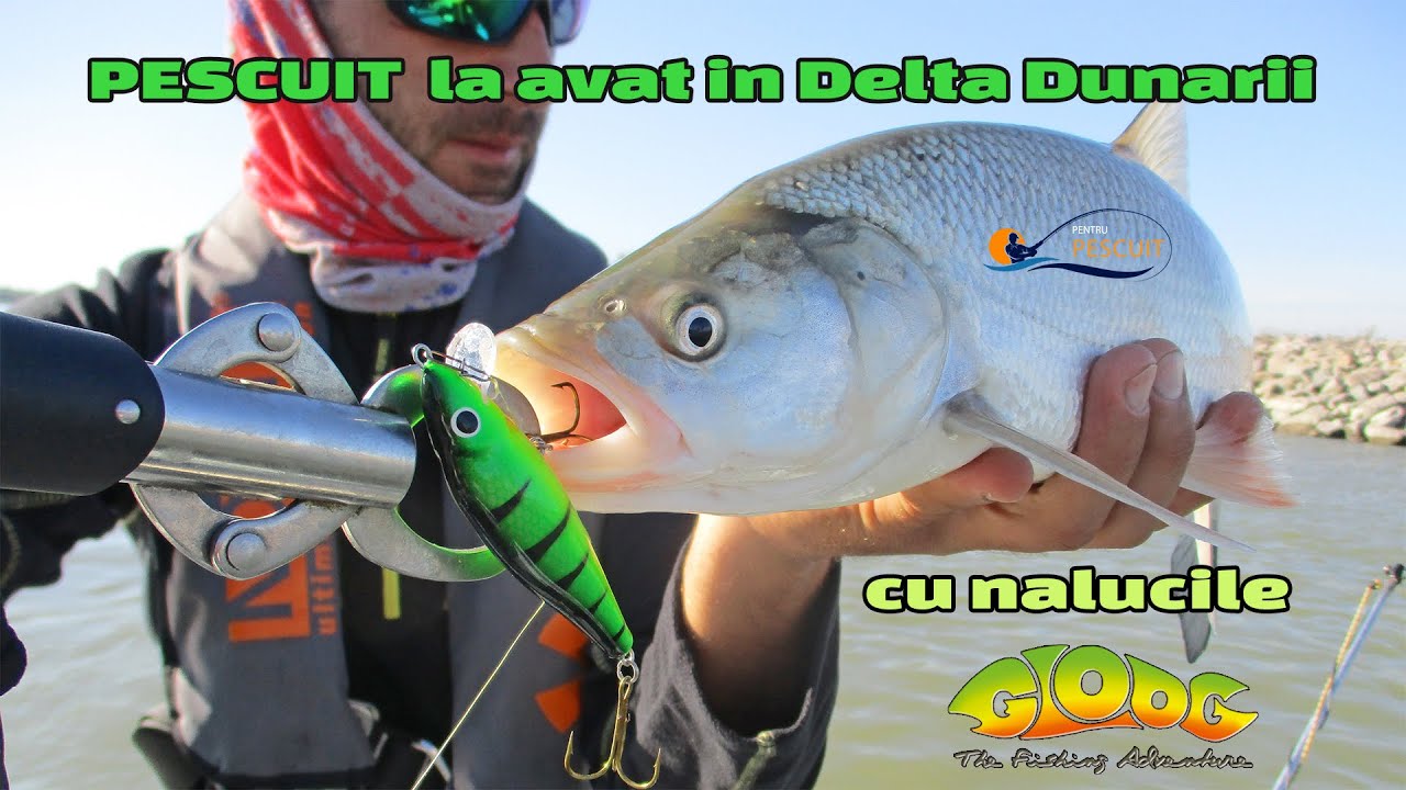 Pentru Pescuit Romania | Importator si distribuitor in Romania articole ...