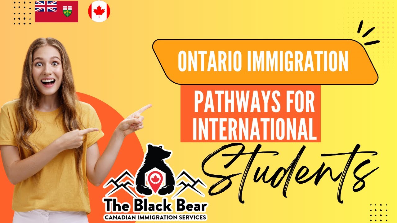 The Black Bear - Canada For Immigration