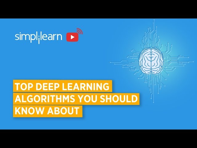 Deep Learning Algorithms For Image Processing What You Need To Know Reason town