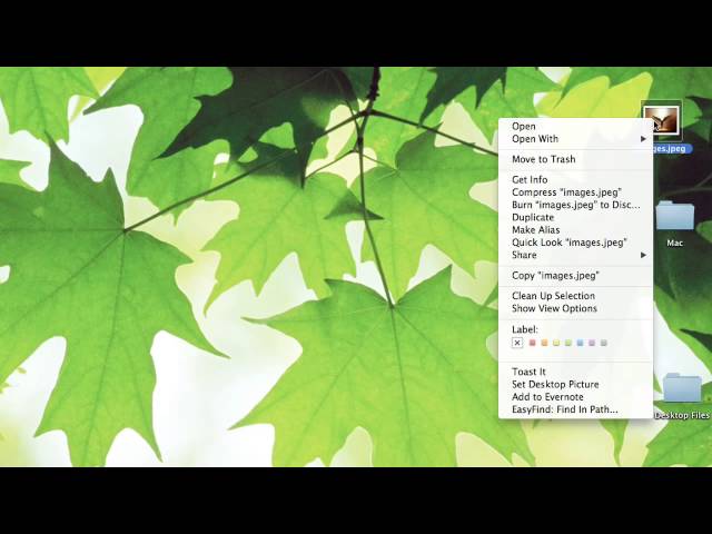 How To Easily Copy And Paste Pictures On Your Macbook Air Undergrowth Games