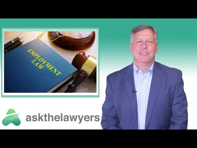 What Is Employment Law And What Does It Mean For You Mspnow