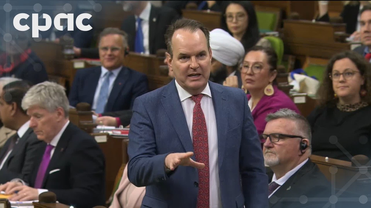 Question Period February 4 2026