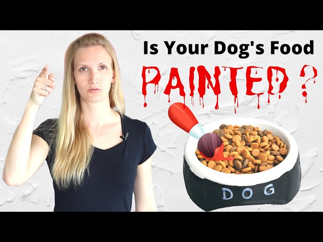 Is Food Coloring Safe For Dogs Northlightpdx