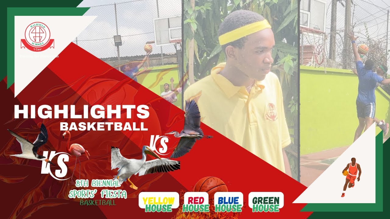 Halifield Schools - Early Years, Elementary & College