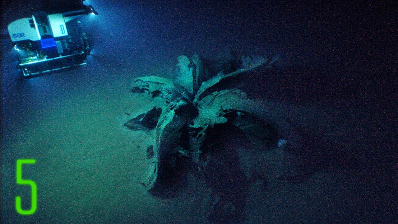 Unidentified Underwater Anomalies